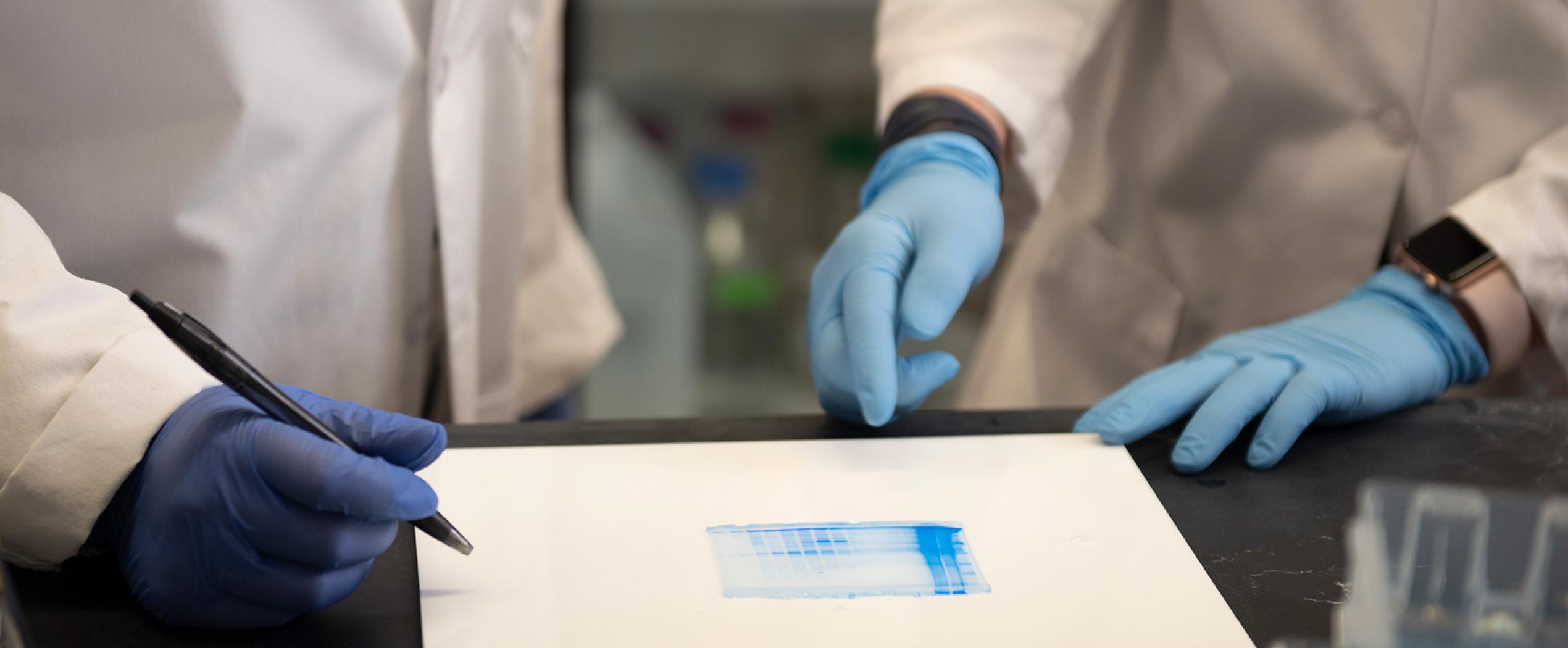 Postdoctoral Scholars and Fellows at Oregon State | Department of Biochemistry & Biophysics