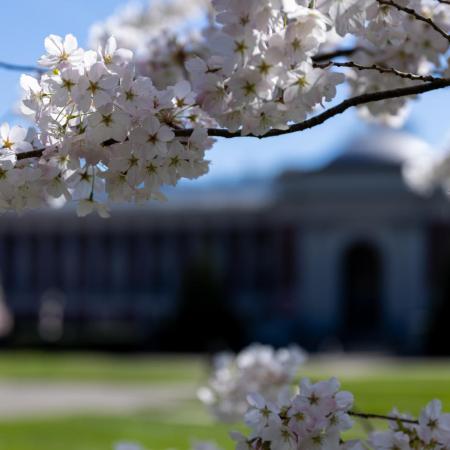 Graduate Academics | Department of Biochemistry & Biophysics